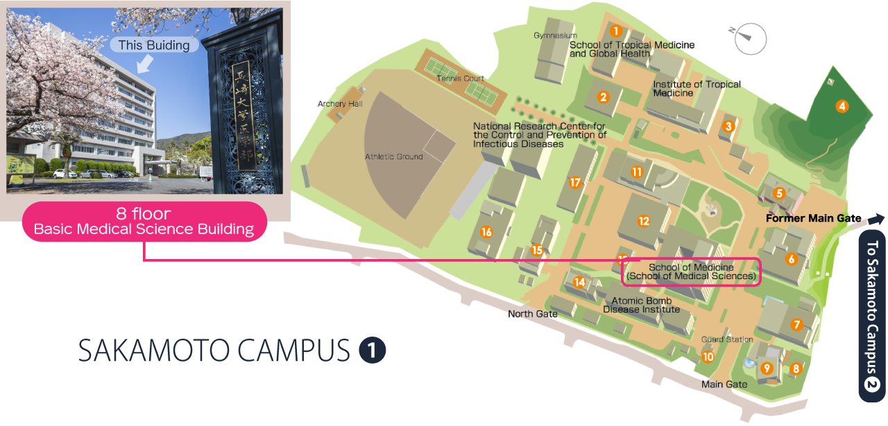 Contact Us | Department of Cellular and Molecular Biology, Nagasaki ...